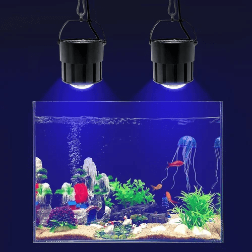 Aquarium Lighting Solutions for Stunning Aquatic Displays